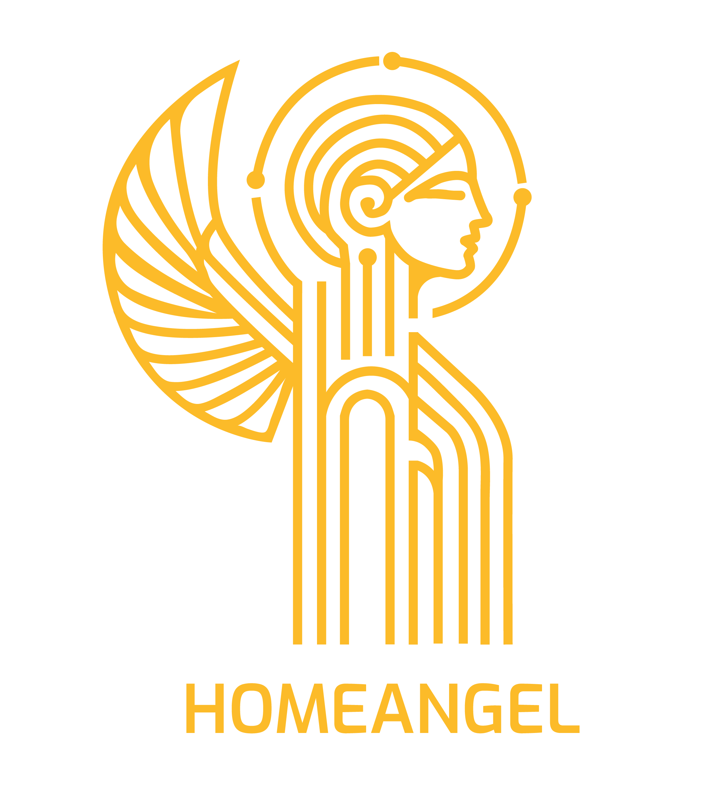 HomeAngel - Emotional Infrastructure for the Internet